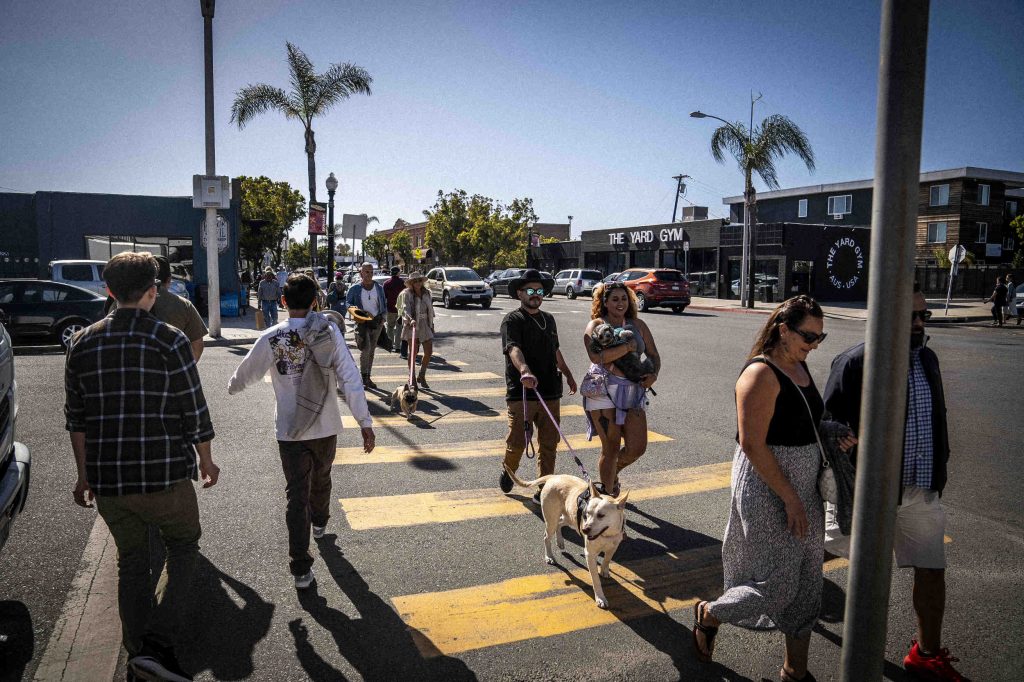 Adams Avenue Neighborhood Street Fair – A Must-See Event!